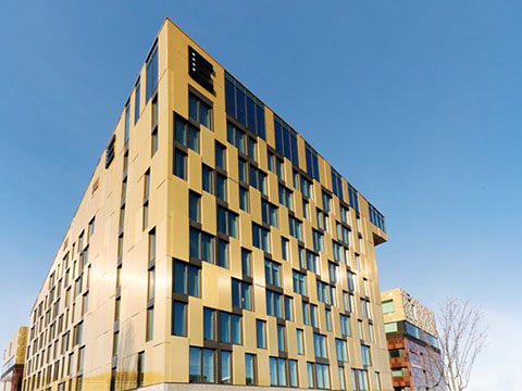 GEHC - DiPIA Event 2020